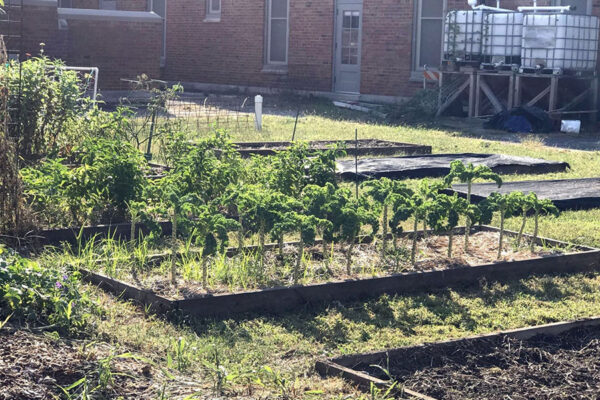 Hale Cook Elementary - Show Me KC Schools